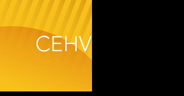 Professor David Shoemaker, "The Stony Metaphysical Heart of Animalism ...