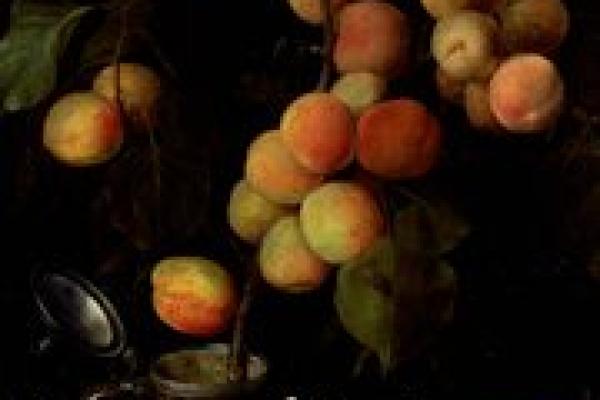 Timothy Schroeder Promotion | Department of Philosophy